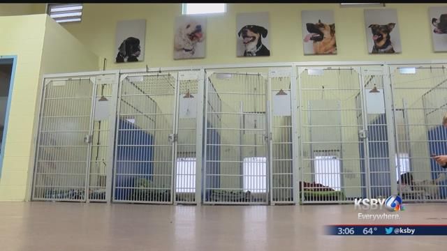 KSBY.com | San Luis Obispo and Santa Barbara Area News - KSBY.com | San ...