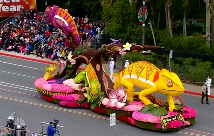 Cal Poly Rose Parade float takes home another award - KSBY.com | San ...
